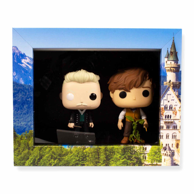 Landscape LED-Lit Shadow Box – Chameleon Displays